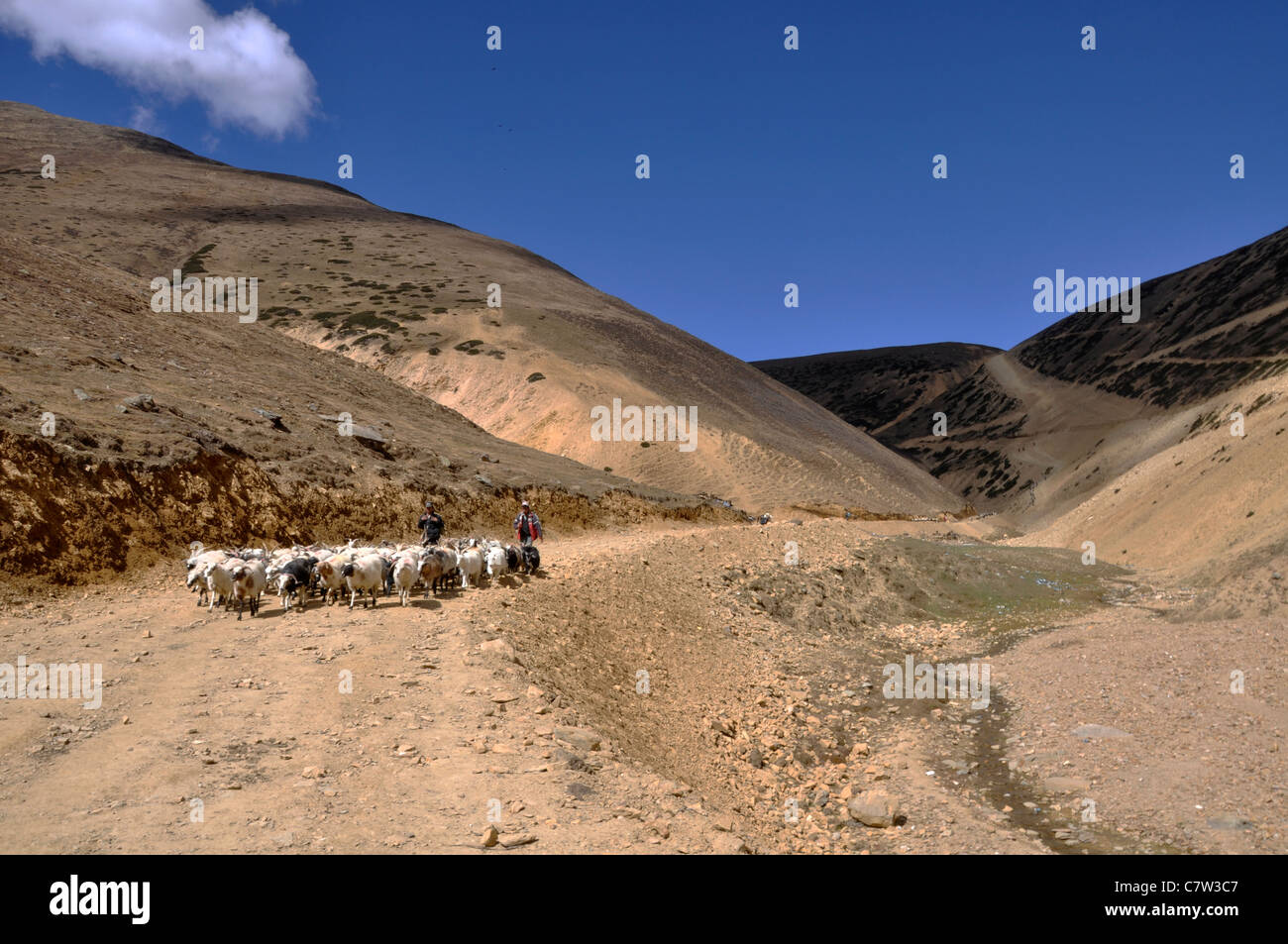 Salt traders in Narala pass Stock Photo - Alamy