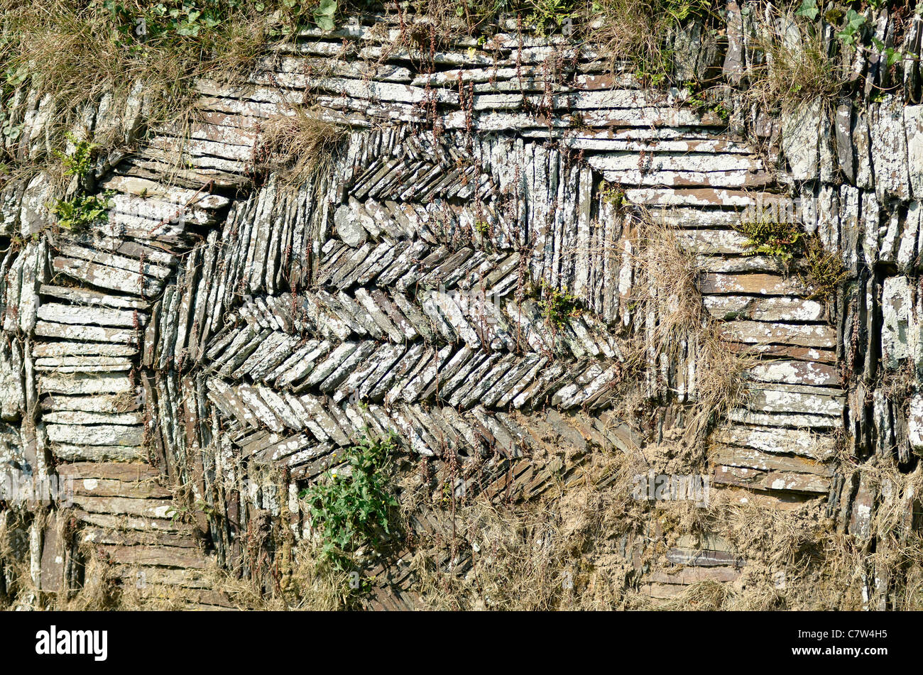 Cornish herringbone stone hedge hi-res stock photography and images - Alamy