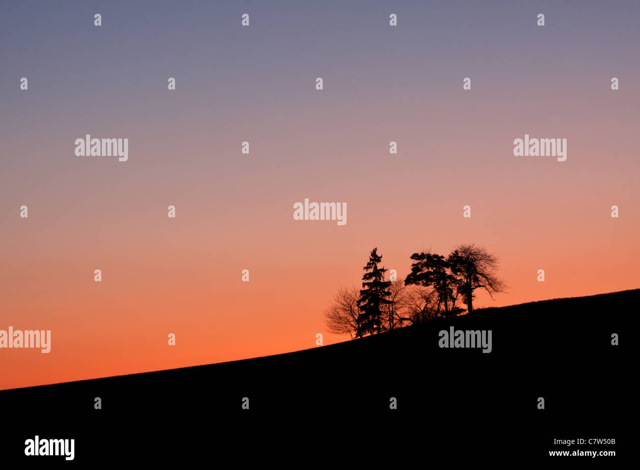 Silhouette trees orange sky sunset bright hi-res stock photography and ...