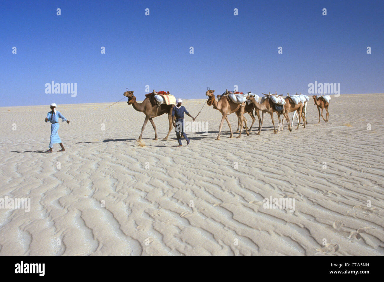 Tuareg caravan hi-res stock photography and images - Alamy