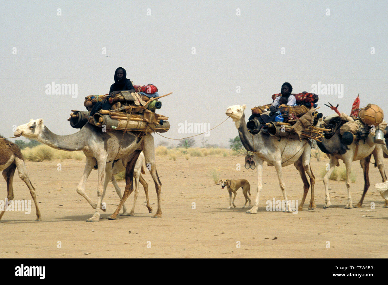 Tuareg caravan hi-res stock photography and images - Alamy