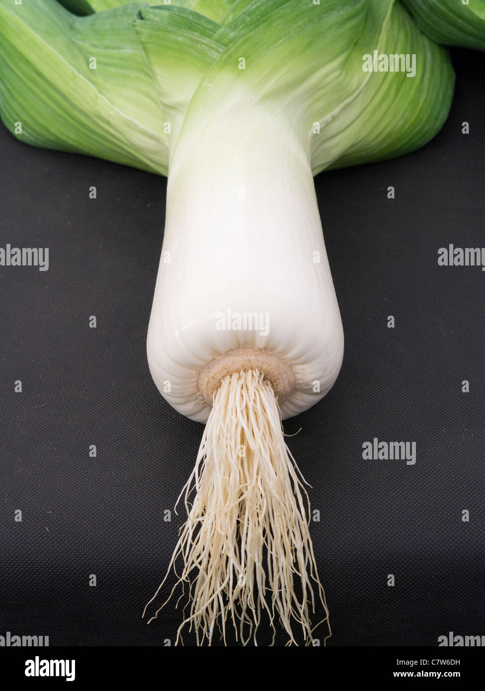 Malvern Autumn Show, England - prize-winning leeks 3 Stock Photo - Alamy