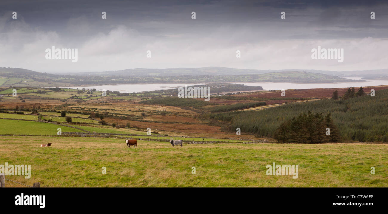 Ireland, Co Wicklow, Wicklow mountains, Blessington Lakes, reservoir ...