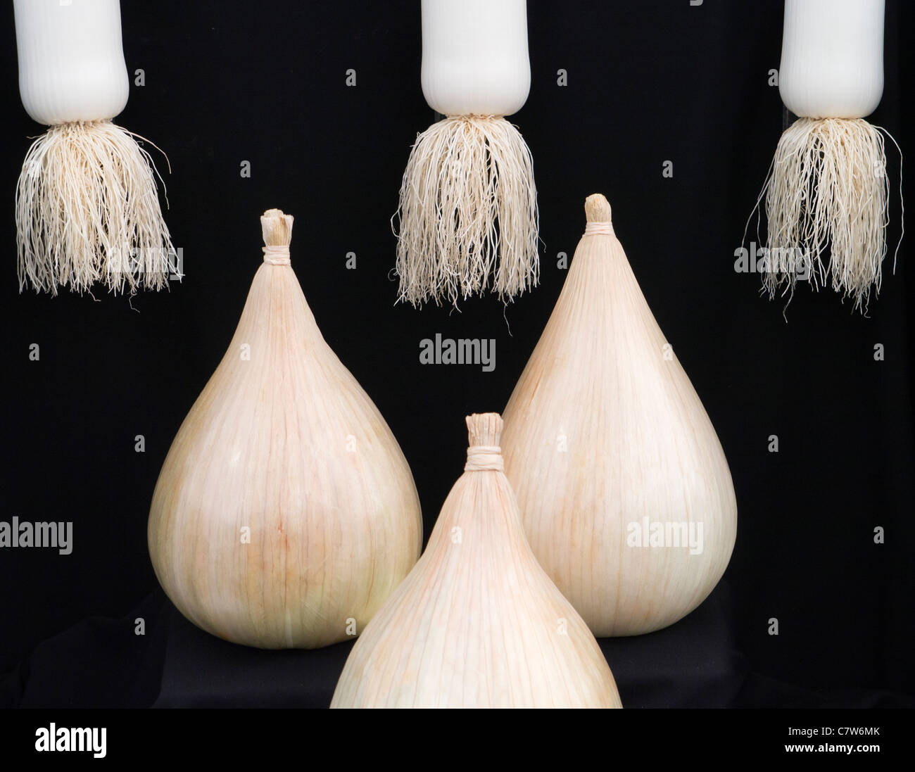 Show leeks hi-res stock photography and images - Alamy
