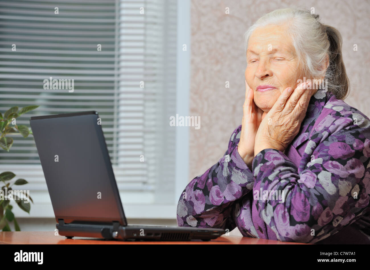 The elderly woman in front of the laptop. A photo in a room Stock Photo ...