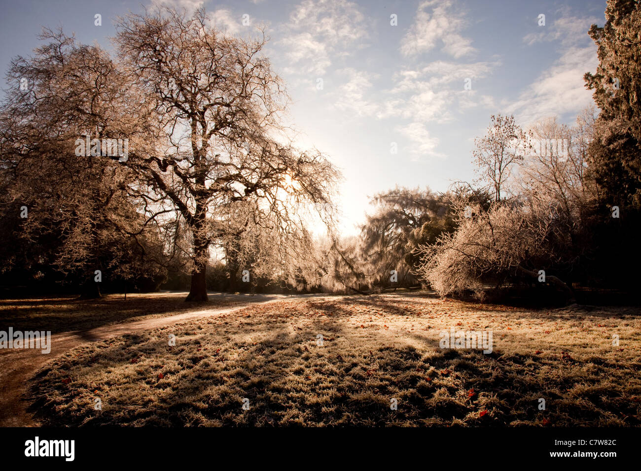 The curragh grass hi-res stock photography and images - Alamy