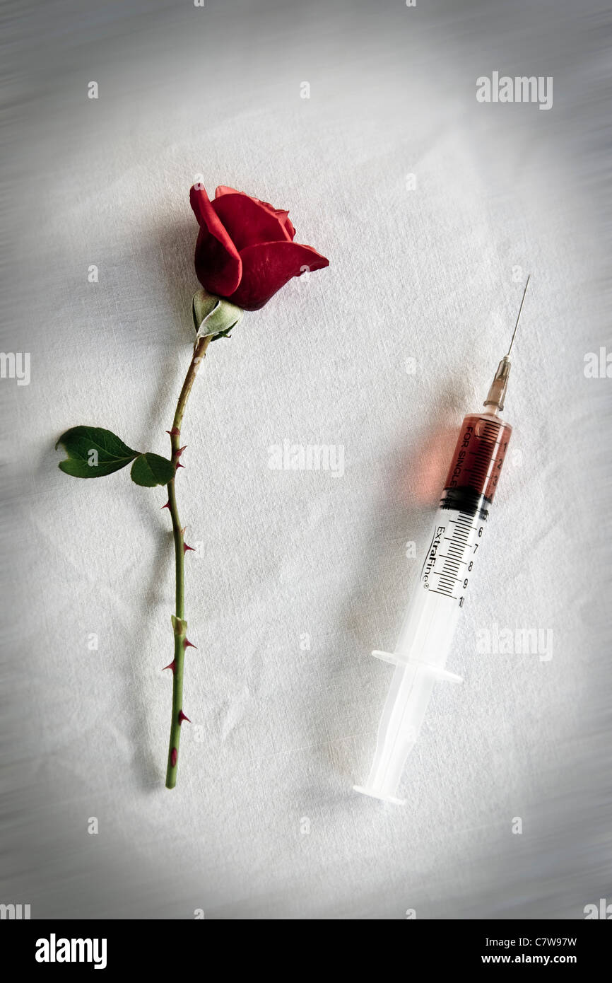 Still life of a syringe and red rose Stock Photo - Alamy