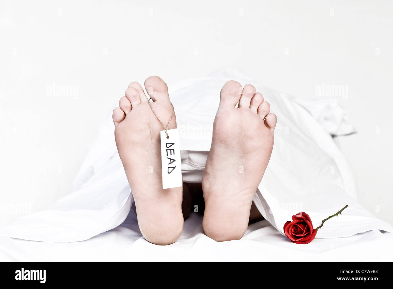Human cadaver, detail of foot with toe tag Stock Photo - Alamy