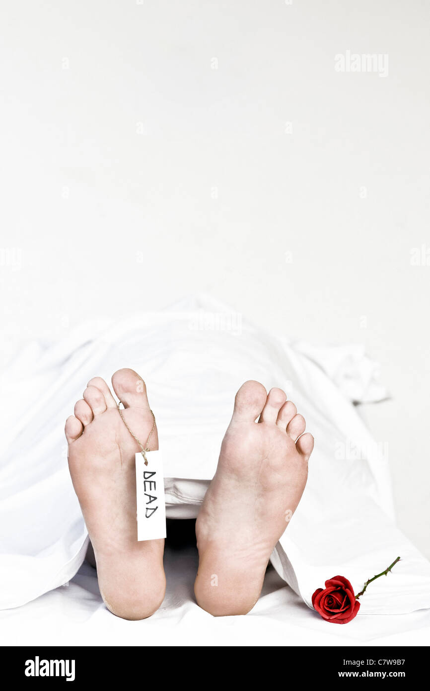 Human cadaver hi-res stock photography and images - Alamy