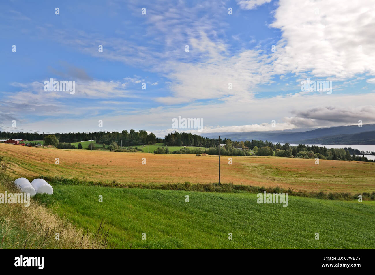 Green field and oblique field. Norway Stock Photo - Alamy