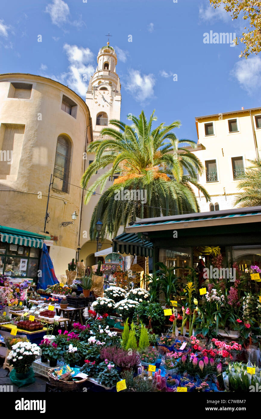 Italy liguria sanremo flower hi-res stock photography and images - Alamy