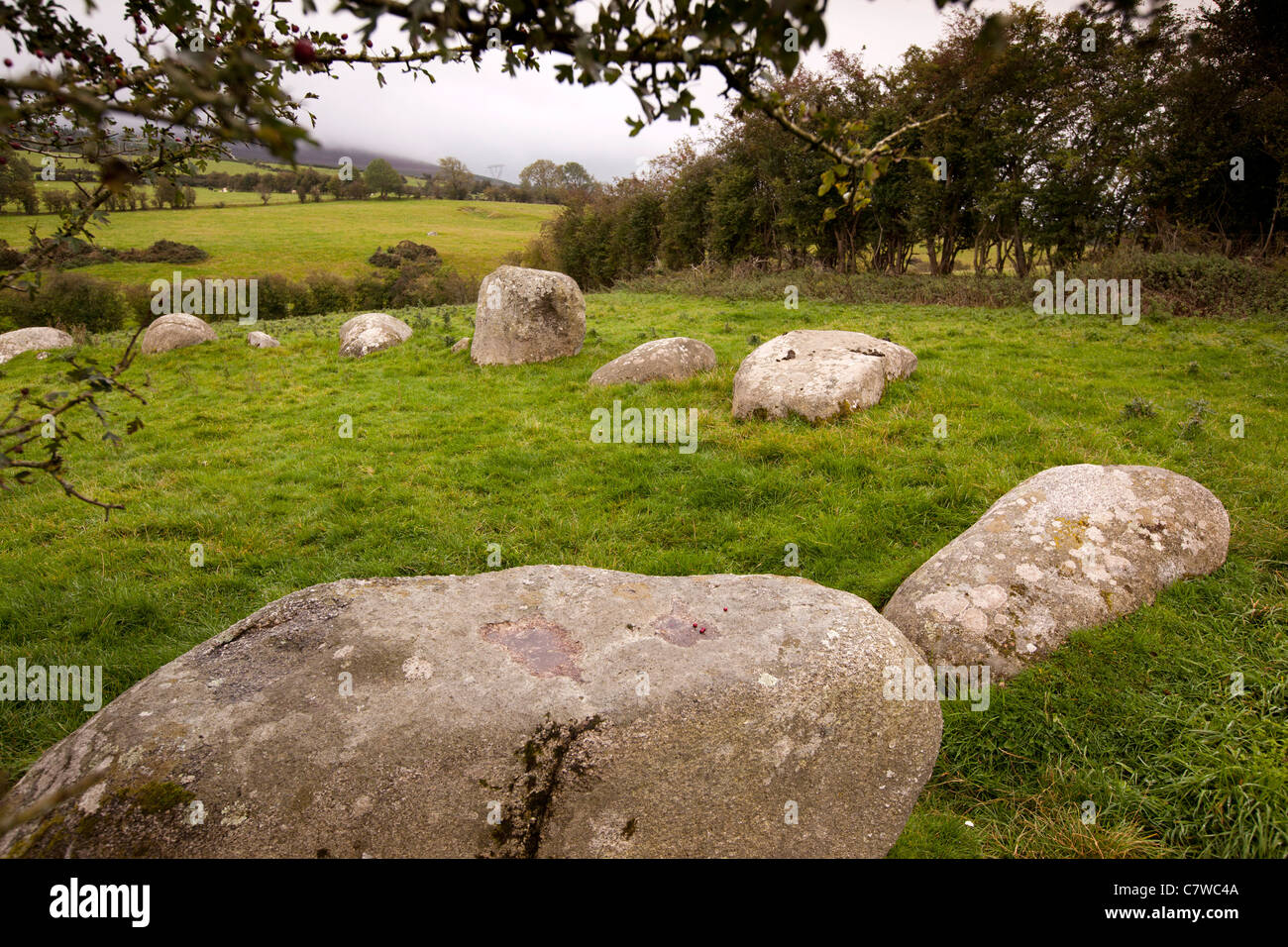 Ireland, Co Wicklow, Hollywood, Piper’s Stones, pre-historic stone ...