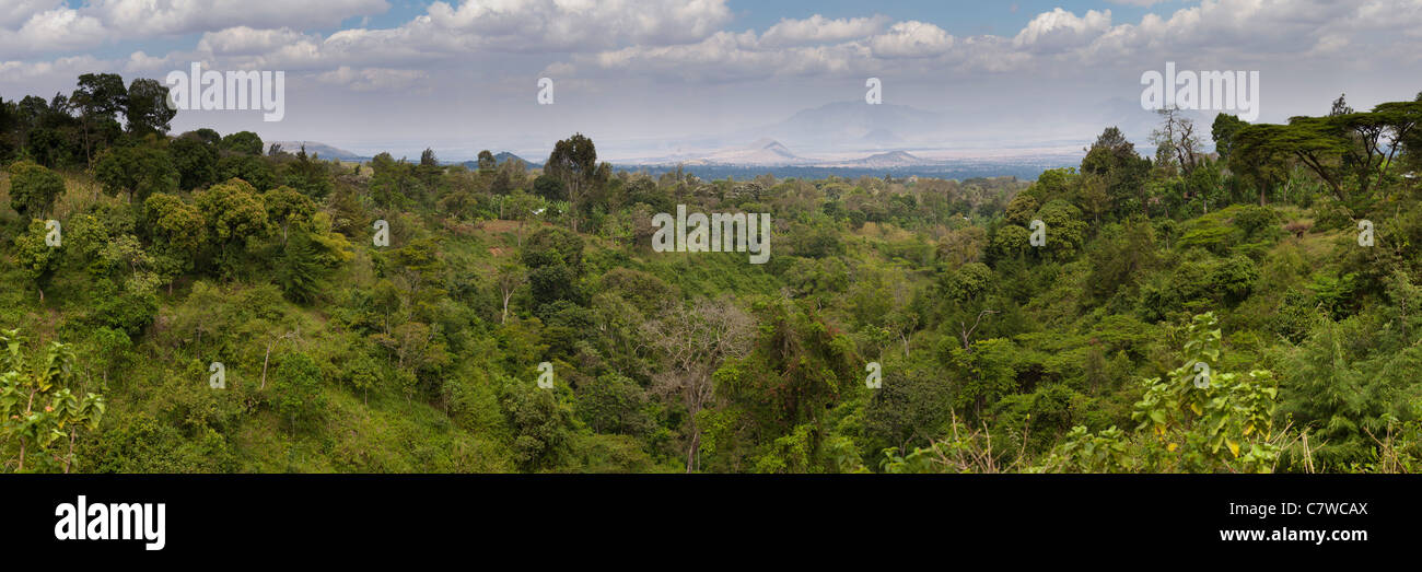 Mwika msae hi-res stock photography and images - Alamy