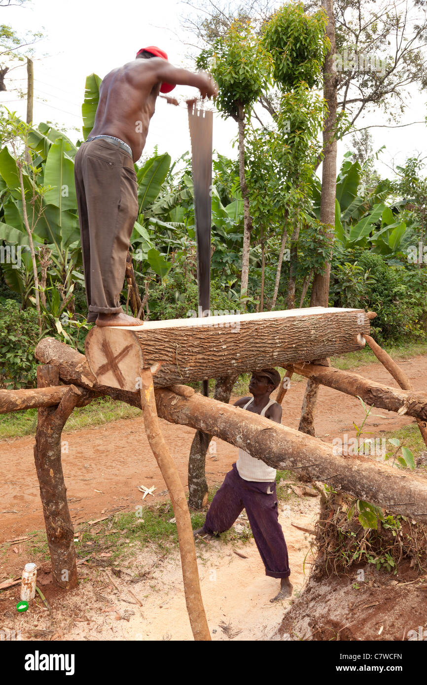 Two men sawing wood hi-res stock photography and images - Alamy