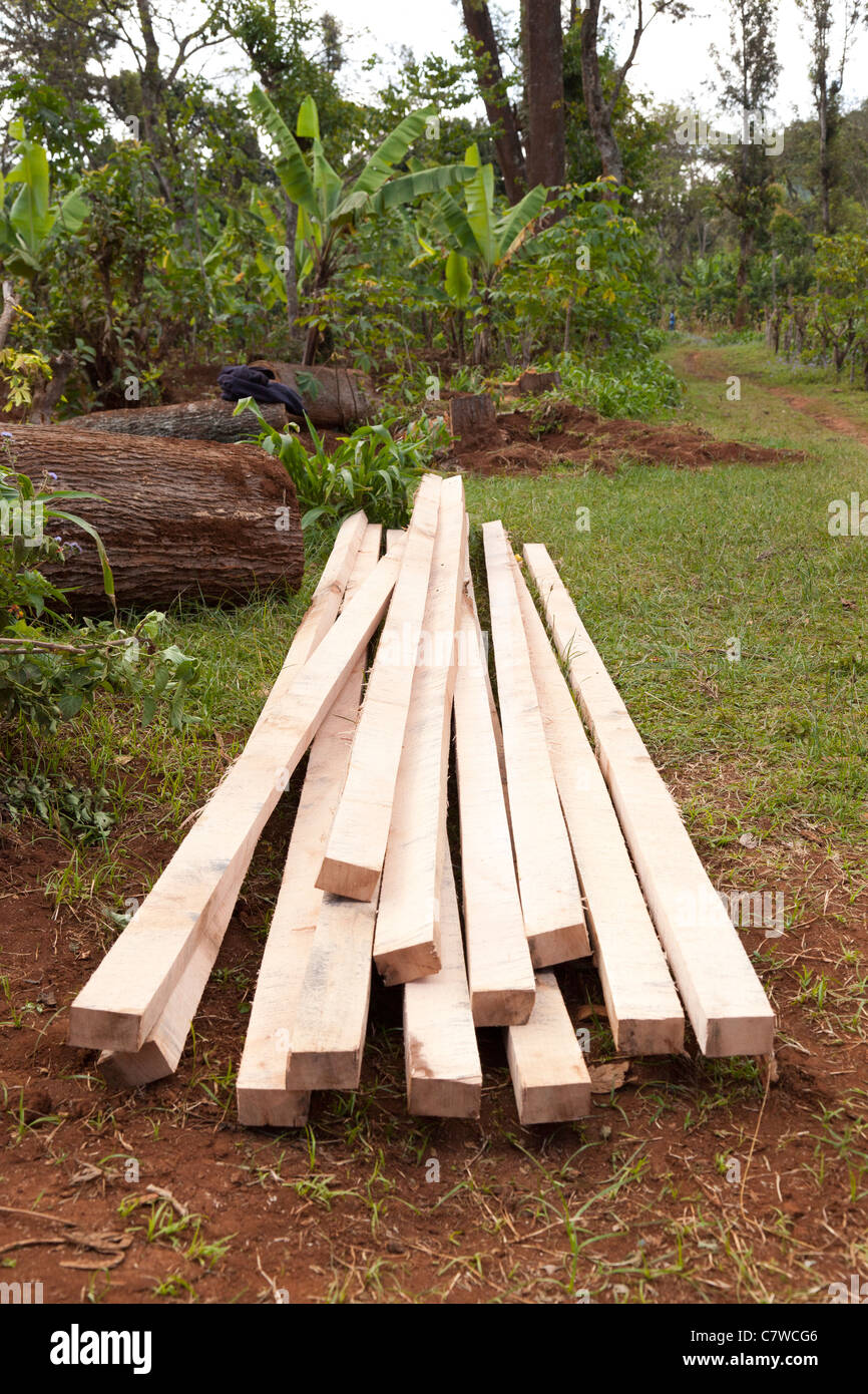 A pile of freshly cut timber, Mwika, Moshi, Tanzania Stock Photo - Alamy