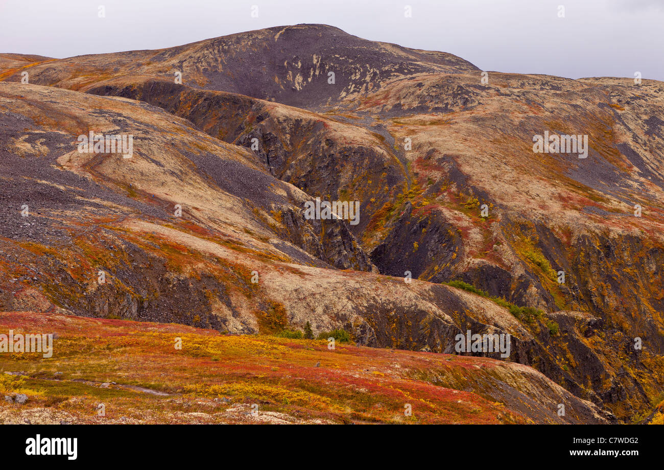 DENALI STATE PARK, ALASKA, USA - Autumn tundra on Kesugi Ridge Stock ...