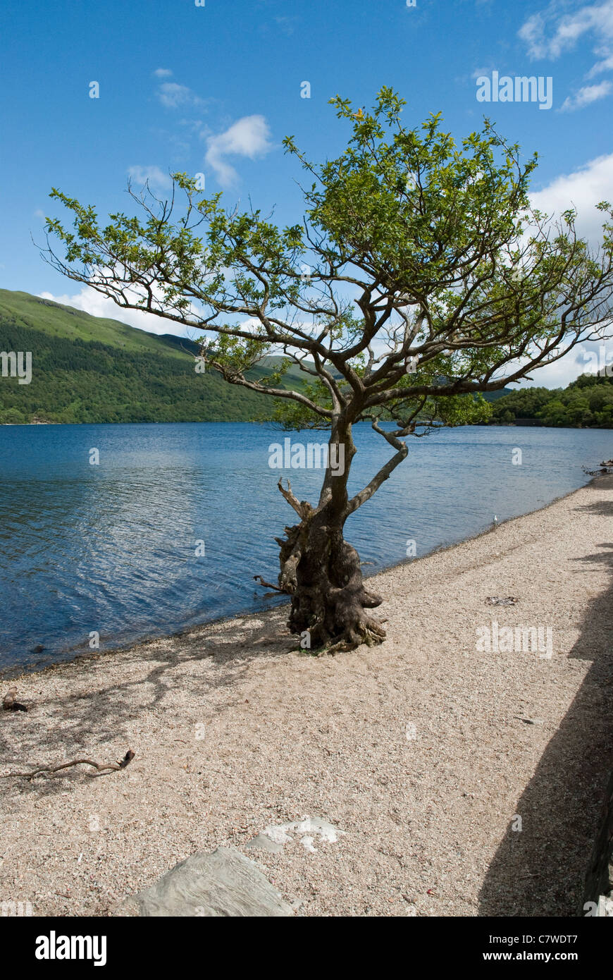 Beauty alongside hi-res stock photography and images - Alamy