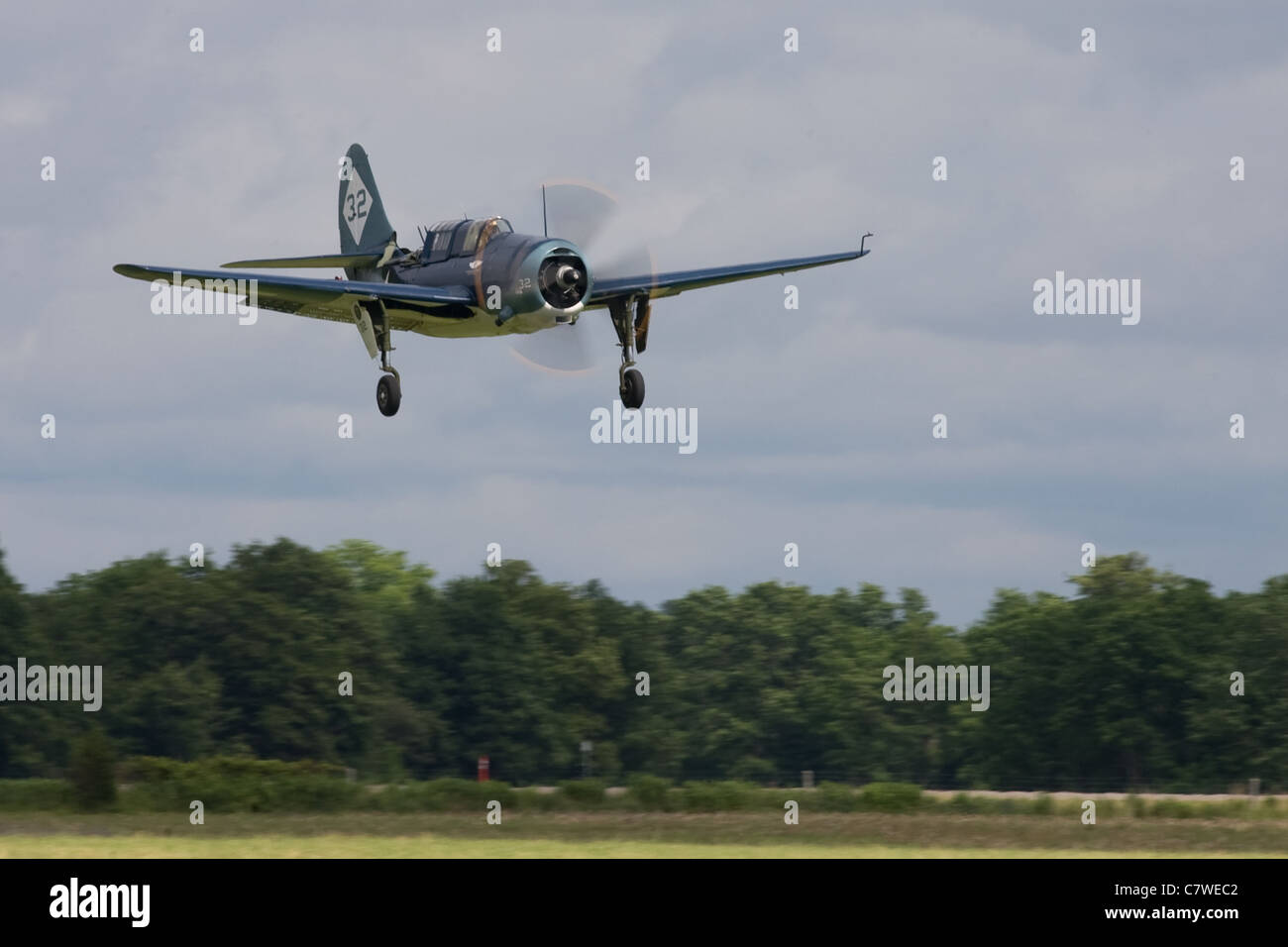 Helldiver hi-res stock photography and images - Alamy