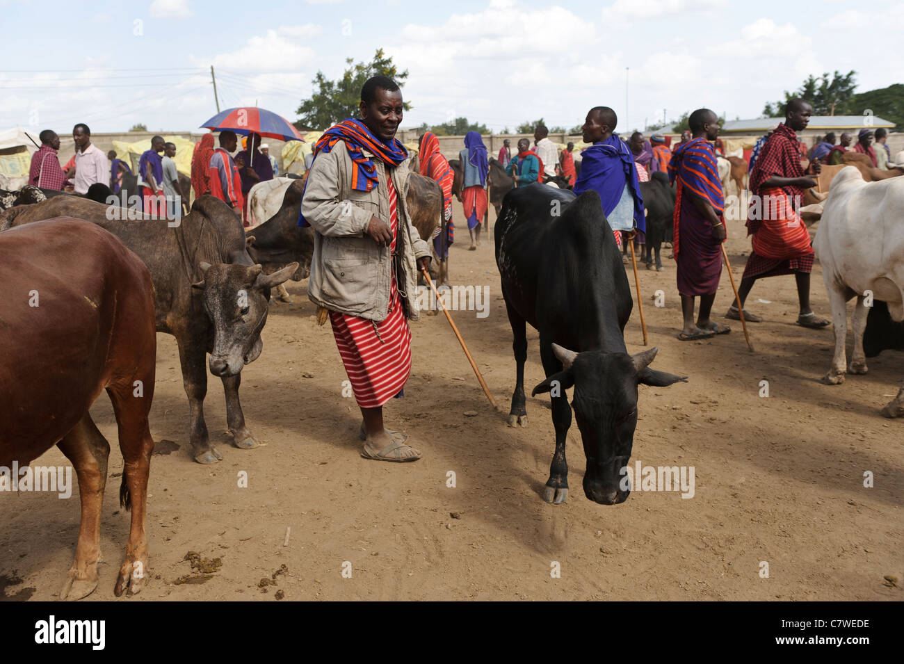Masai men and cattle at a weekly market, Meserani, Tanzania Stock Photo ...