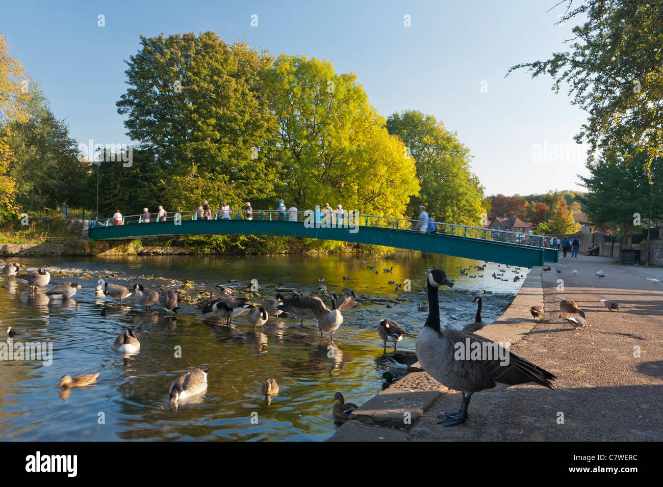 The River Wye, Bakewell, Peak District, Derbyshire, England UK Stock ...