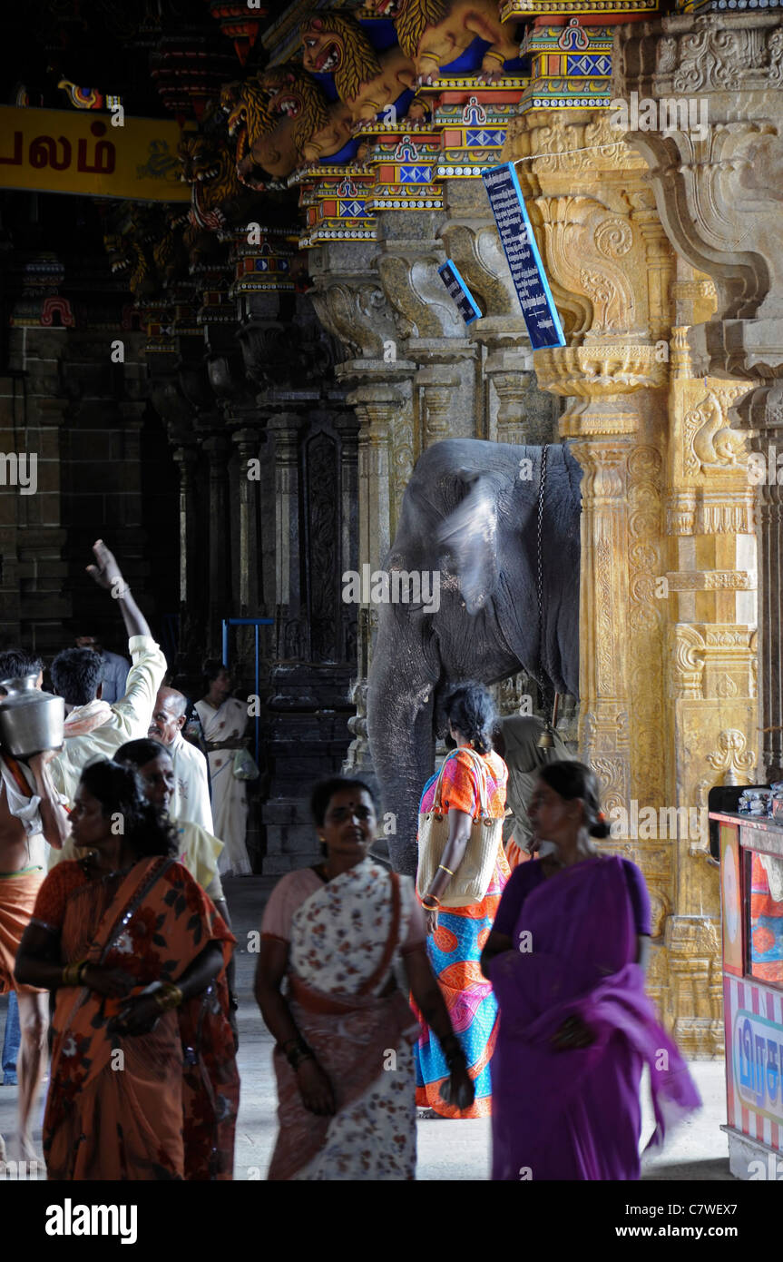 Perur patteeswara swamy temple hi-res stock photography and images - Alamy