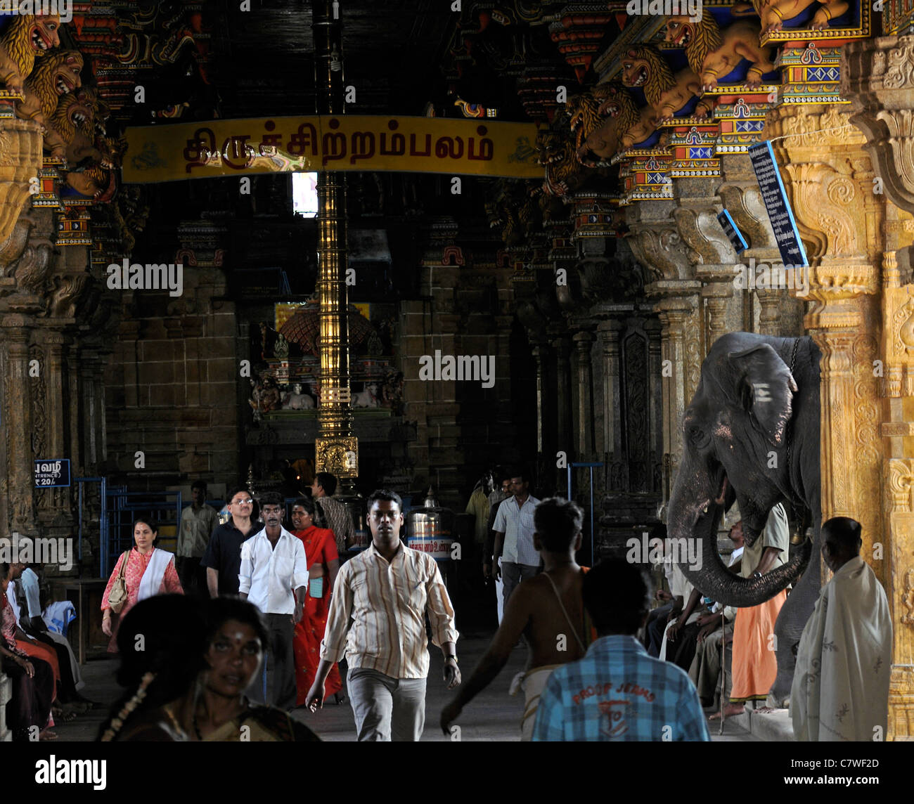 Temple elephant inside Perur Patteeswara Swamy temple Coimbatore Tamil ...