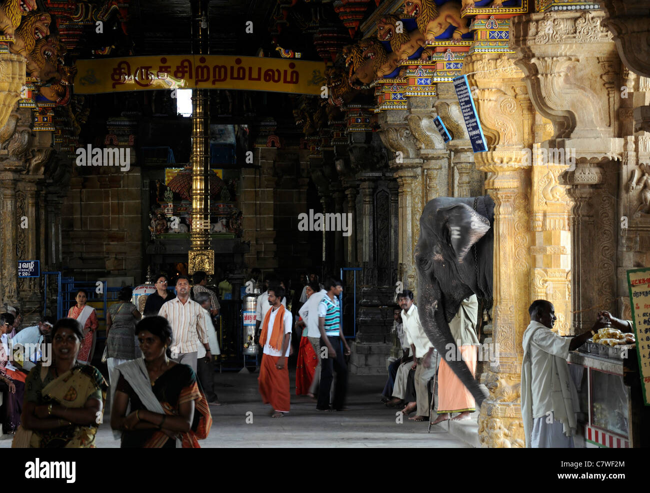 Temple elephant inside Perur Patteeswara Swamy temple Coimbatore Tamil ...