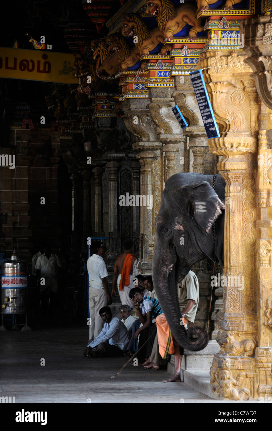 Perur patteeswara swamy temple hi-res stock photography and images - Alamy