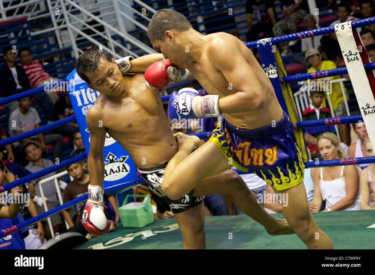 Muay Thai, kick boxing fight, Patong, Phuket, Thailand Stock Photo - Alamy