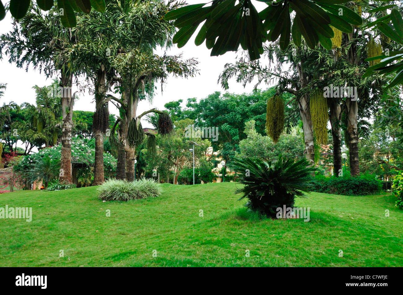 Coorg hi-res stock photography and images - Alamy