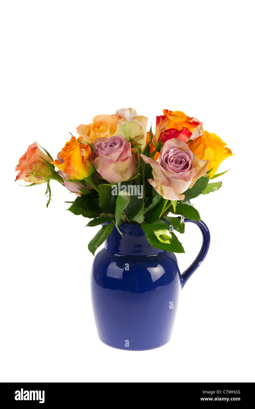 Bouquet colorful roses in blue vase isolated over white background ...