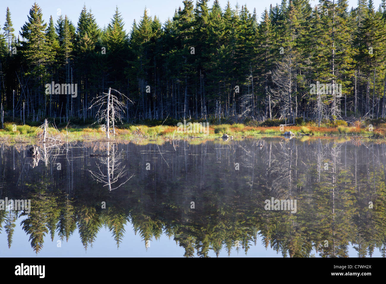 Wetlands area / pond along Old Cherry Mountain Road in the White ...