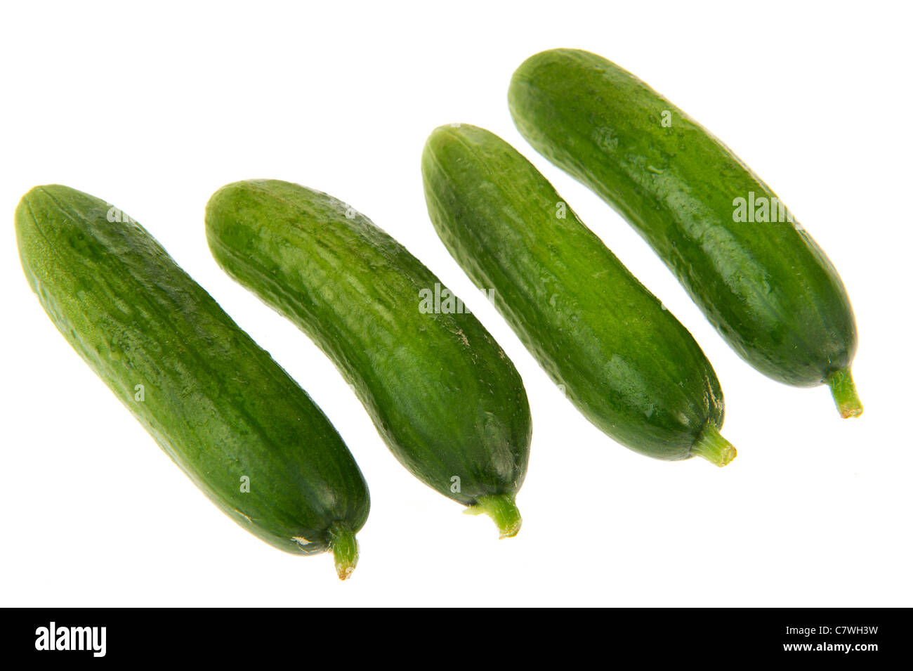 Four fresh cucumbers in a row isolated over white background Stock ...