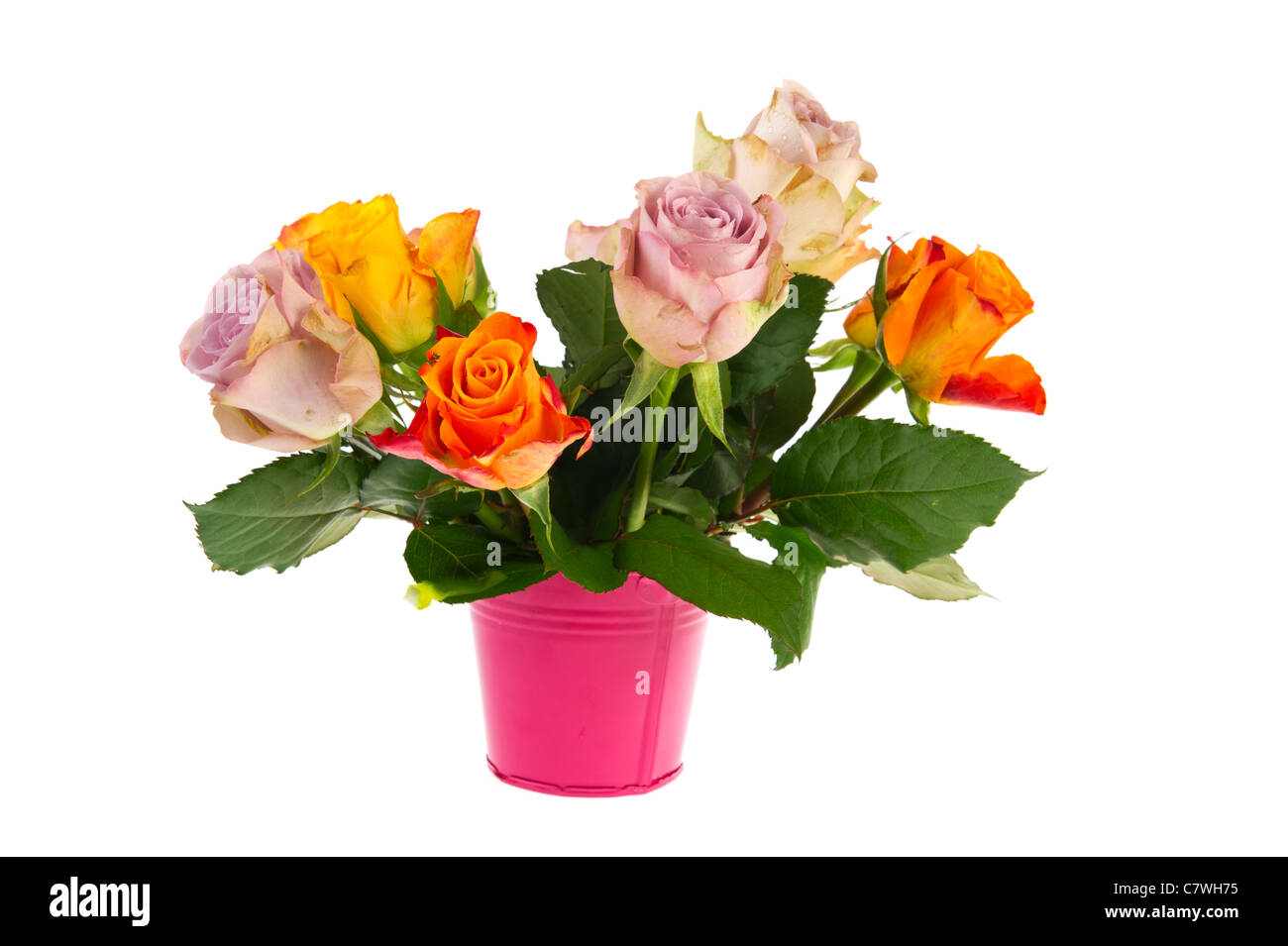 Bouquet colorful roses in pink bucket isolated over white Stock Photo ...