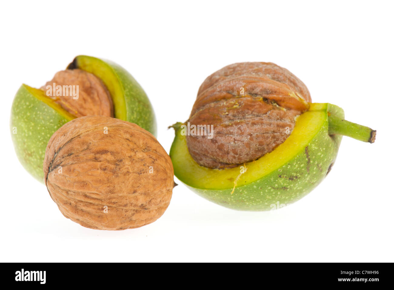 Ripe walnuts in husks hi-res stock photography and images - Alamy