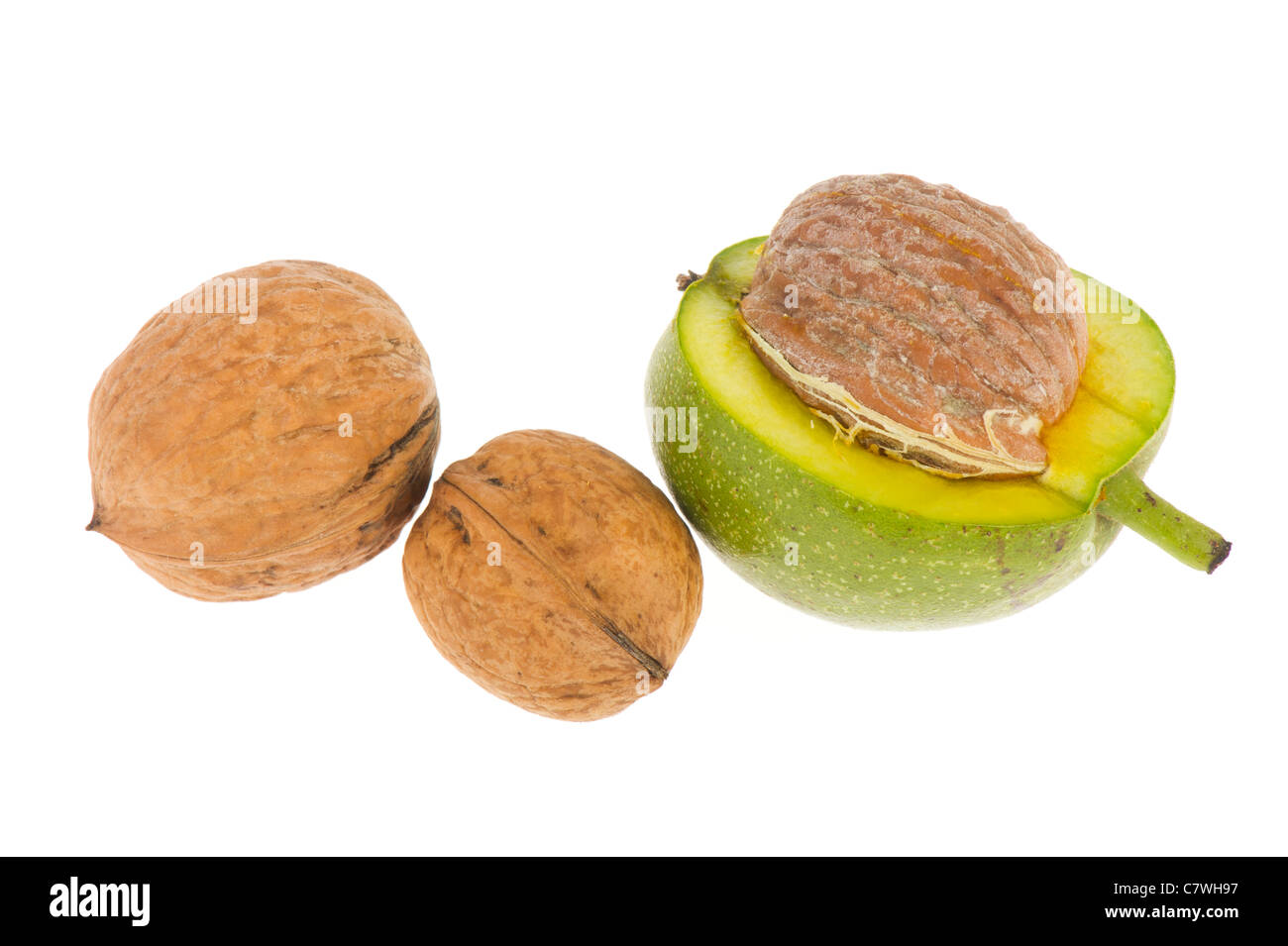 Ripe walnuts in green husk isolated over white background Stock Photo ...