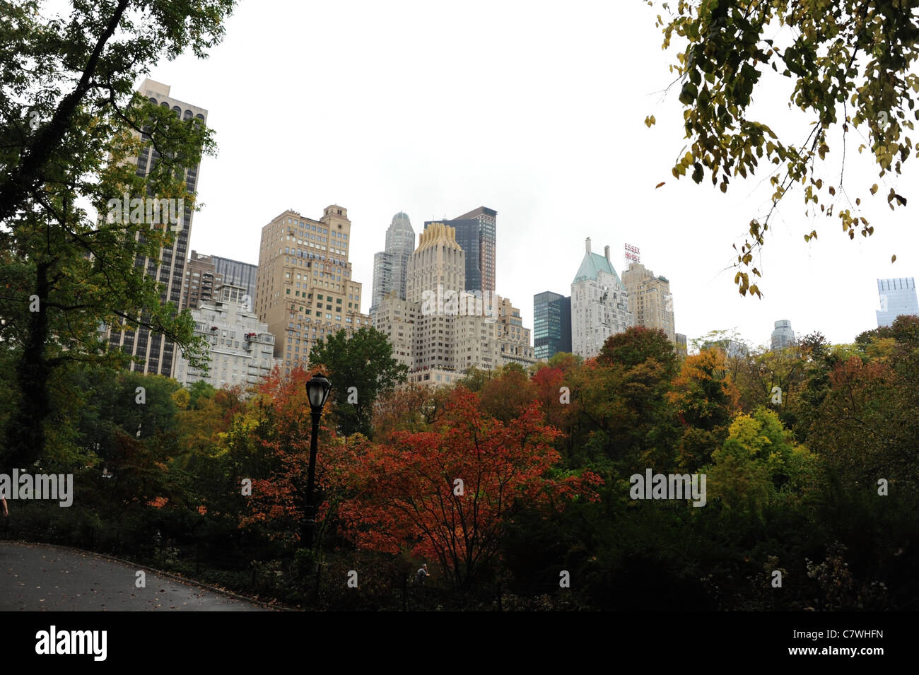 Grey sky rainy view of skyscraper skyline, red autumn trees and ...
