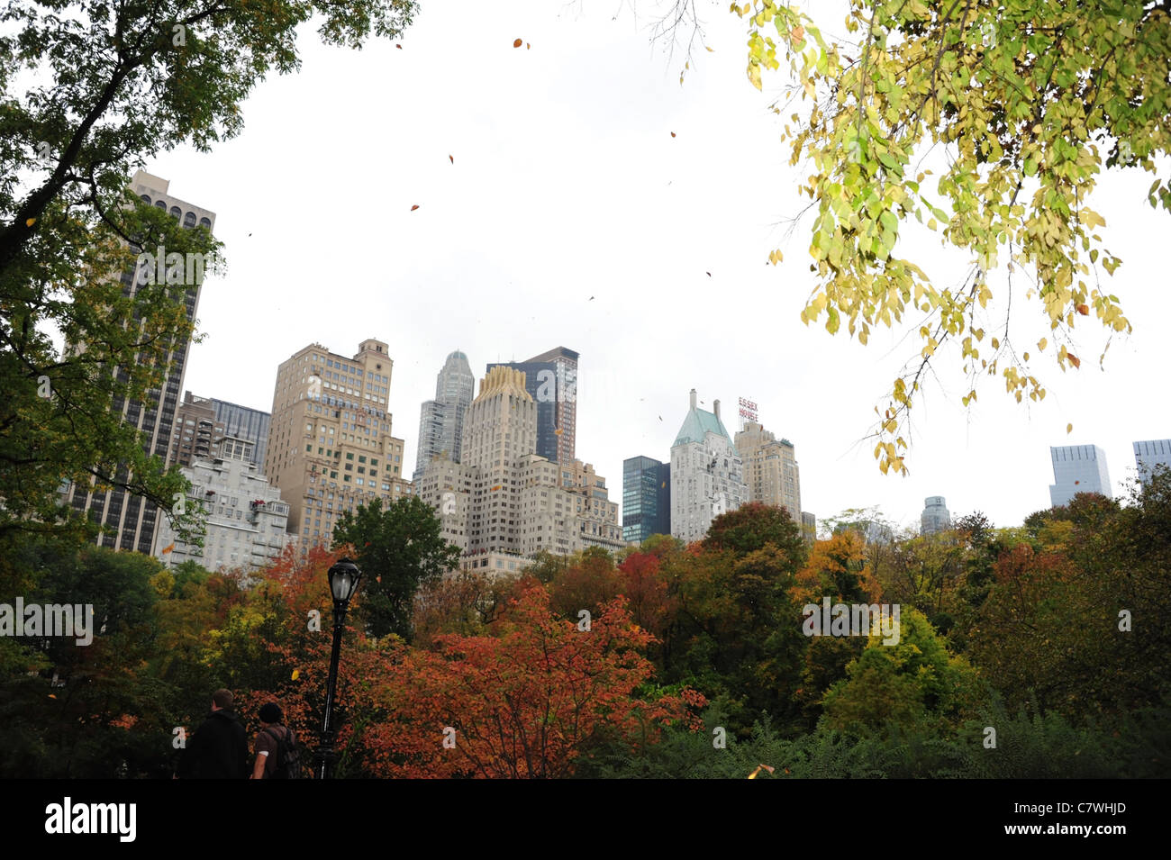 Grey rainy skyscraper skyline, red autumn trees and flash-light falling ...