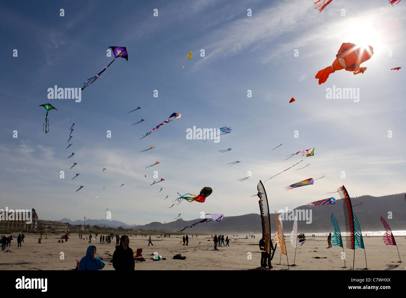 Kite flying fest hi-res stock photography and images - Alamy