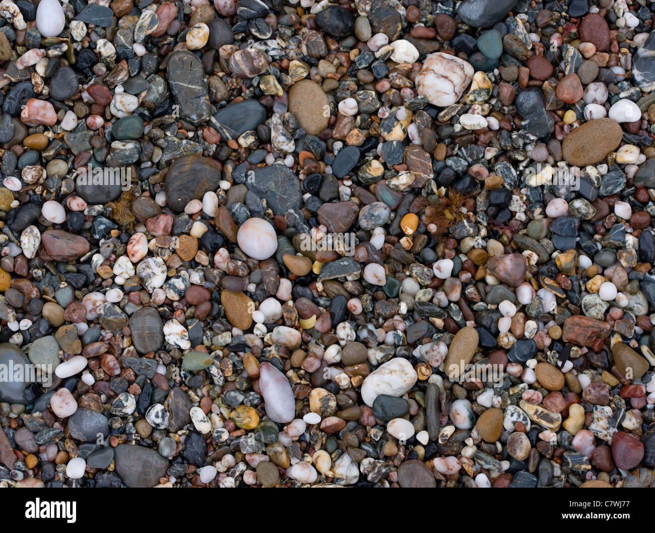 Stones from a shingle beach Stock Photo - Alamy