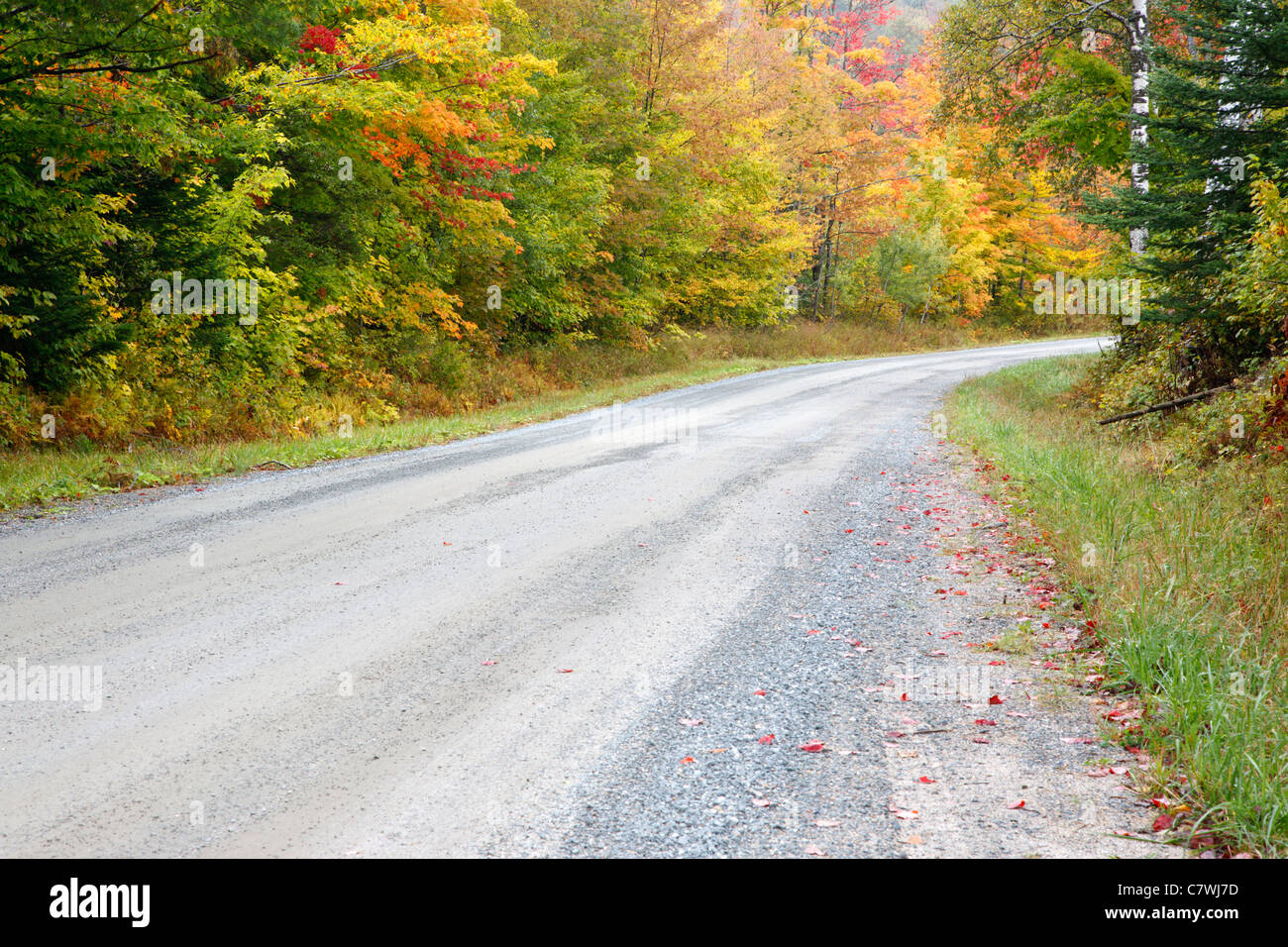 Northeast Kingdom - Autumn foliage along Victory Road in Victory ...