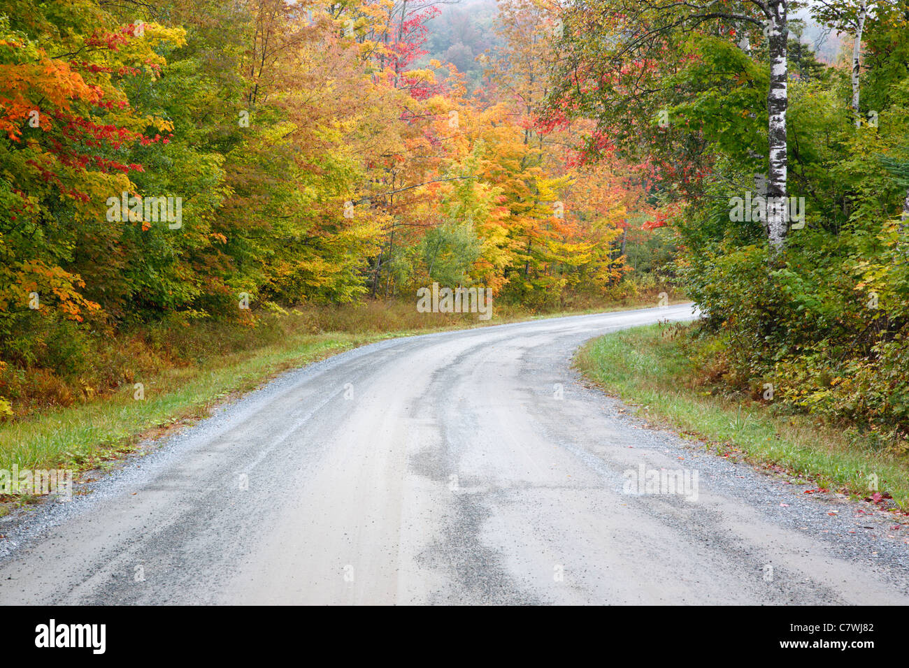 Northeast Kingdom - Autumn foliage along Victory Road in Victory ...