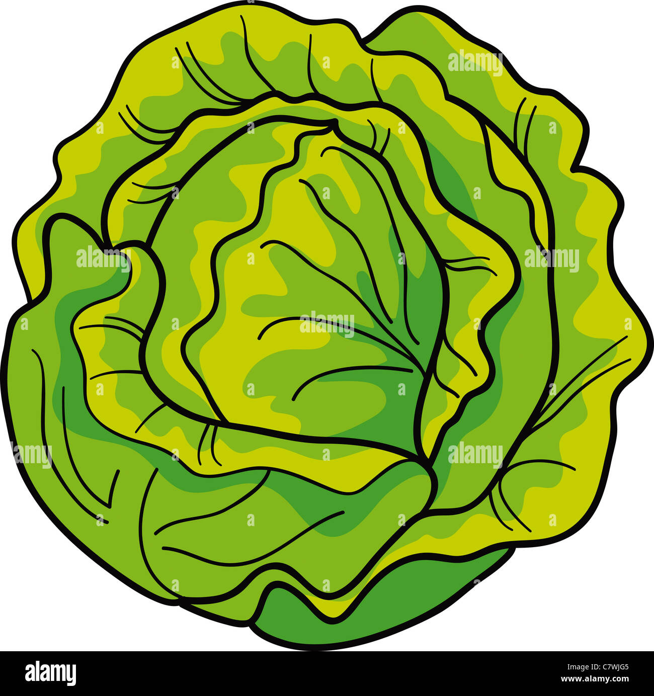 Cabbage cartoon hi-res stock photography and images - Alamy