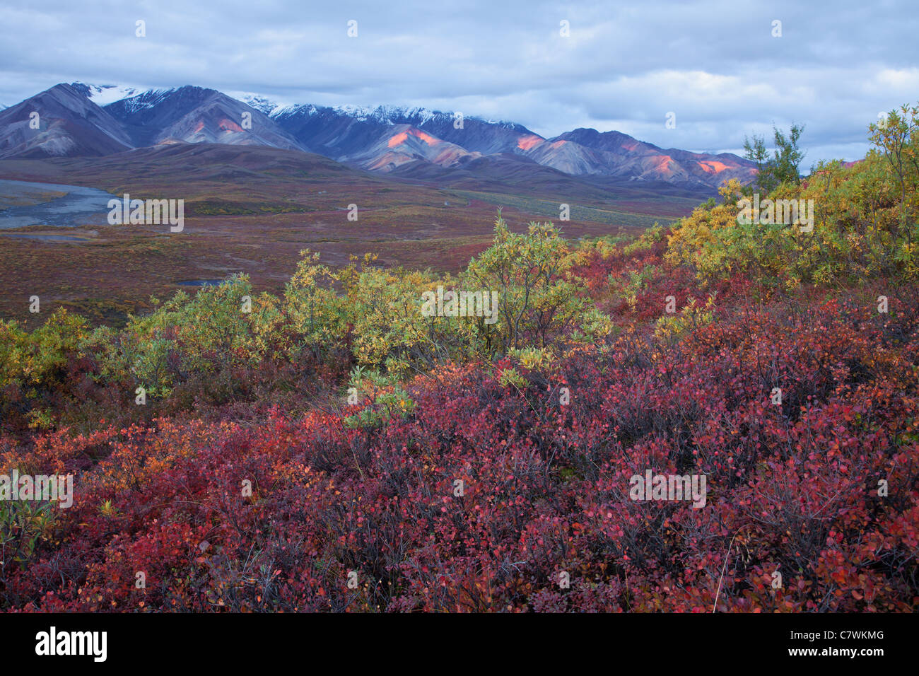 Fall colors in Polychrome Pass, Denali National Park, Alaska Stock ...