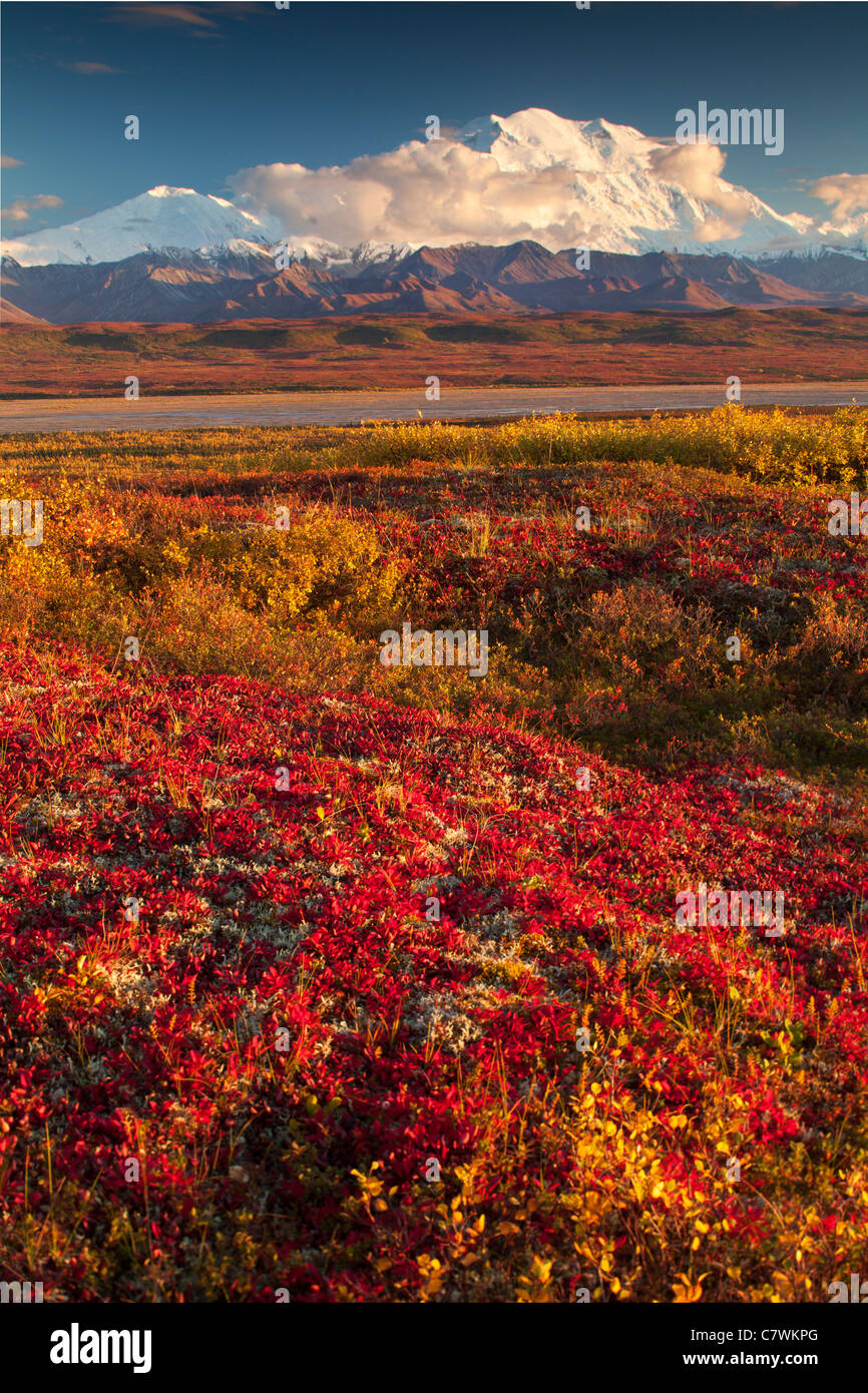 Mt. McKinley or Denali, Denali National Park, Alaska Stock Photo - Alamy