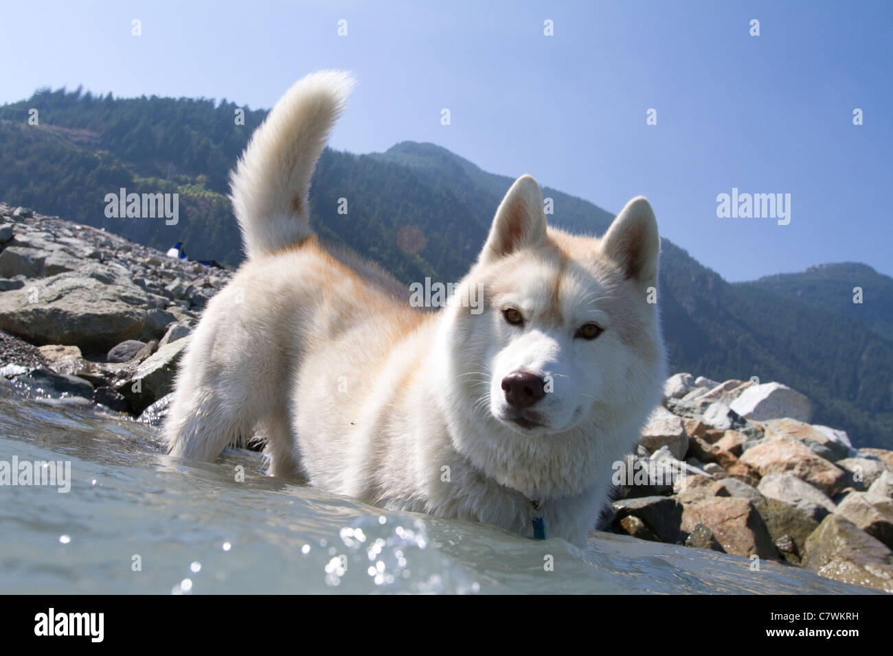 Water sledge hi-res stock photography and images - Alamy