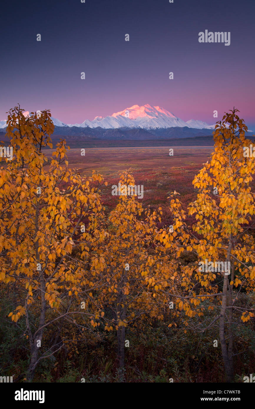 Mt McKinley, also called Denali, Denali National Park, Alaska Stock ...