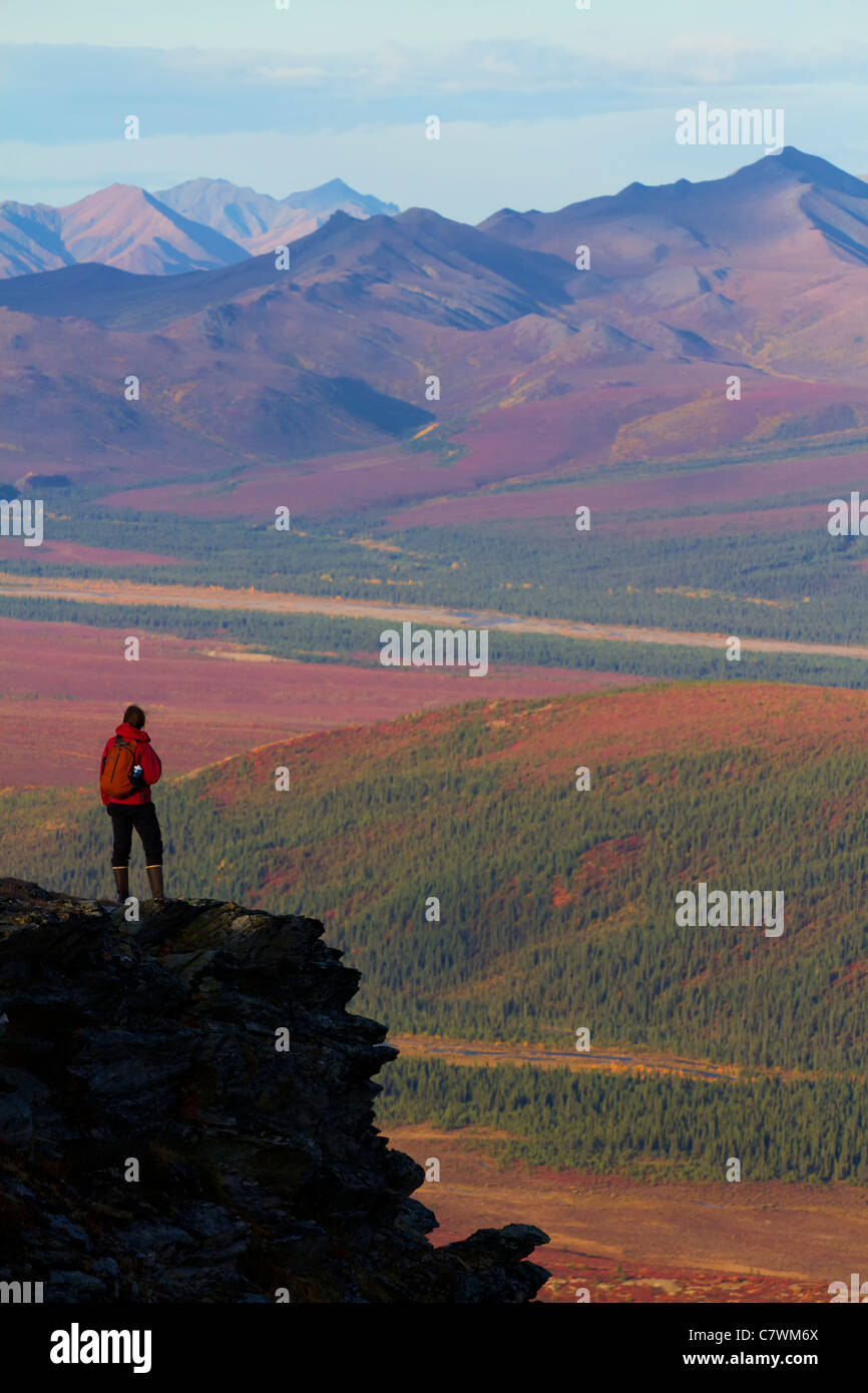 Hiker in Denali National Park, Alaska Stock Photo - Alamy