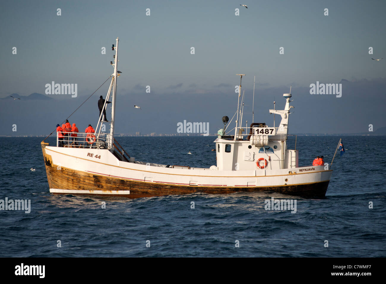Whale watching boat in Faxa Bay off the coast of Reykjavik, the capital ...