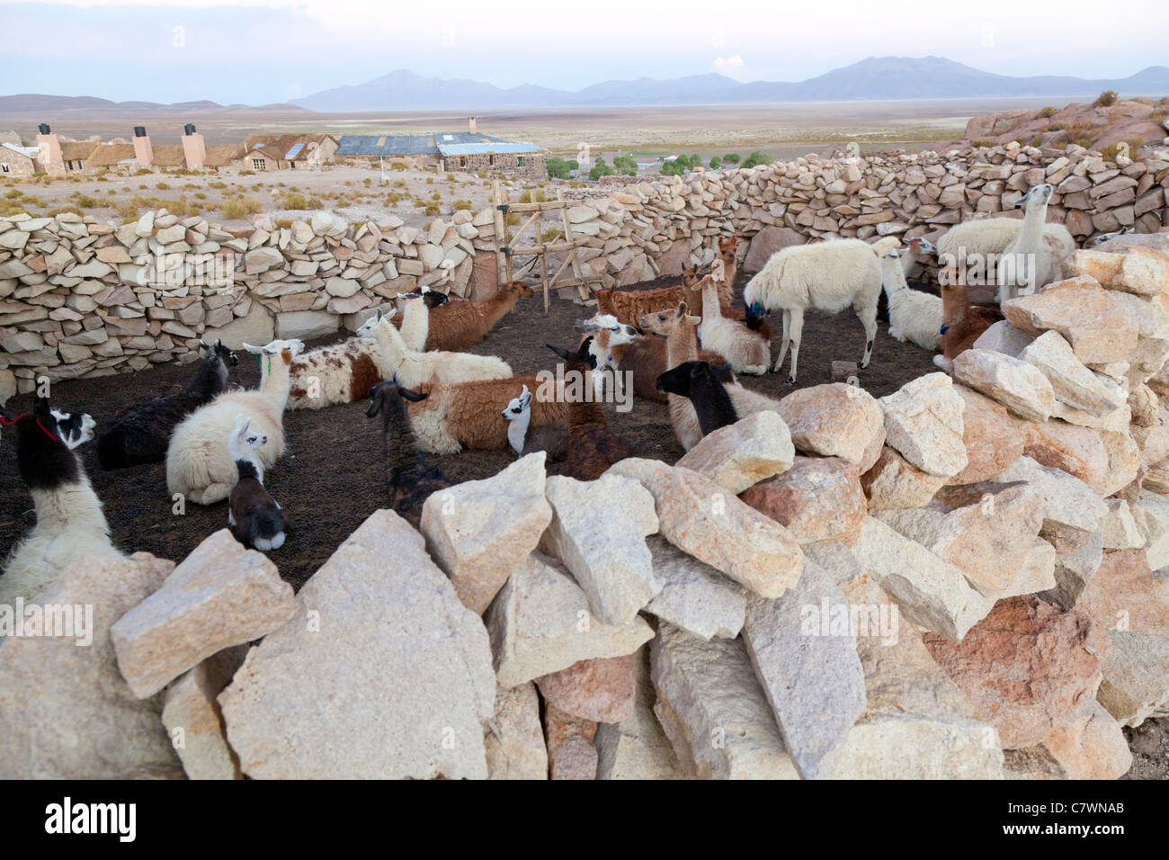 Corralled hi-res stock photography and images - Alamy